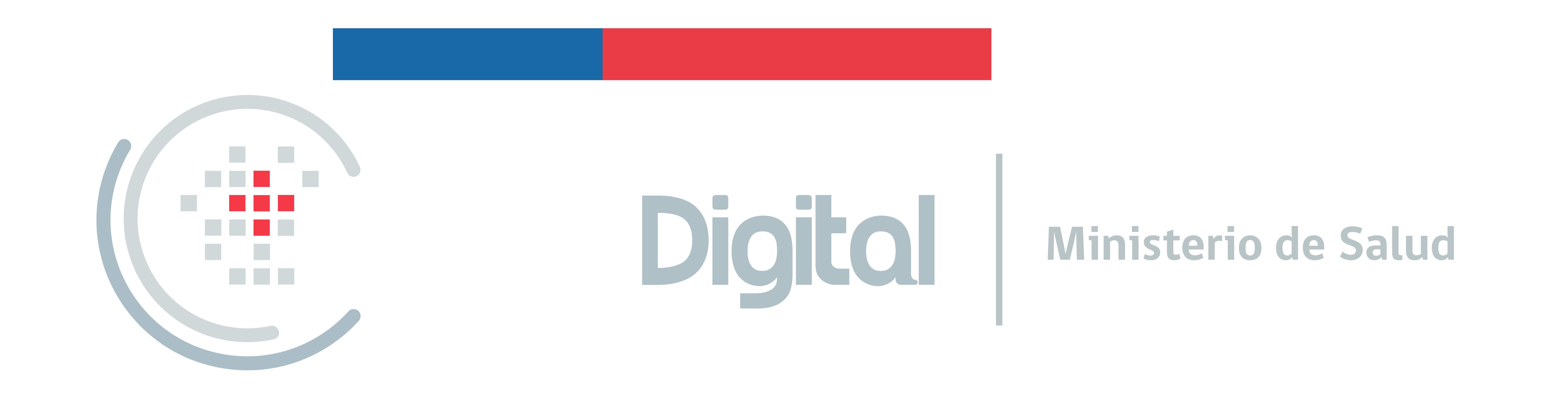 MINSAL Atenciones Remotas - Acceso Paciente